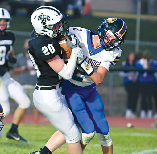 Panthers overcome key injuries | News, Sports, Jobs - Altoona Mirror